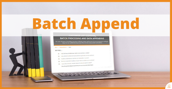 Append Phone Number, Email, Name and Address - Self-Service