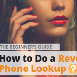 Reverse Phone Lookup: Find Names & Details Quickly | Searchbug